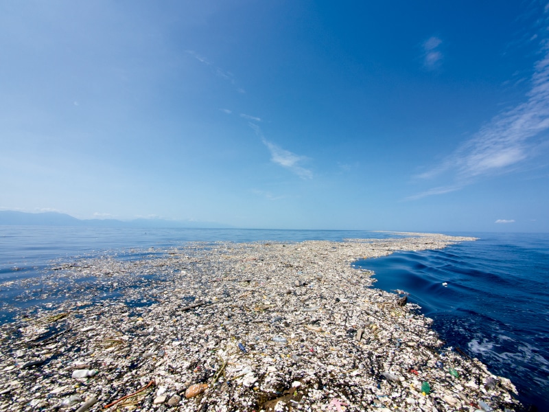 Oris y su compromiso por un mar limpio - Tiempo de relojes